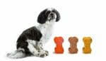 Shih-Poo Growth Chart | Weight & Size Chart